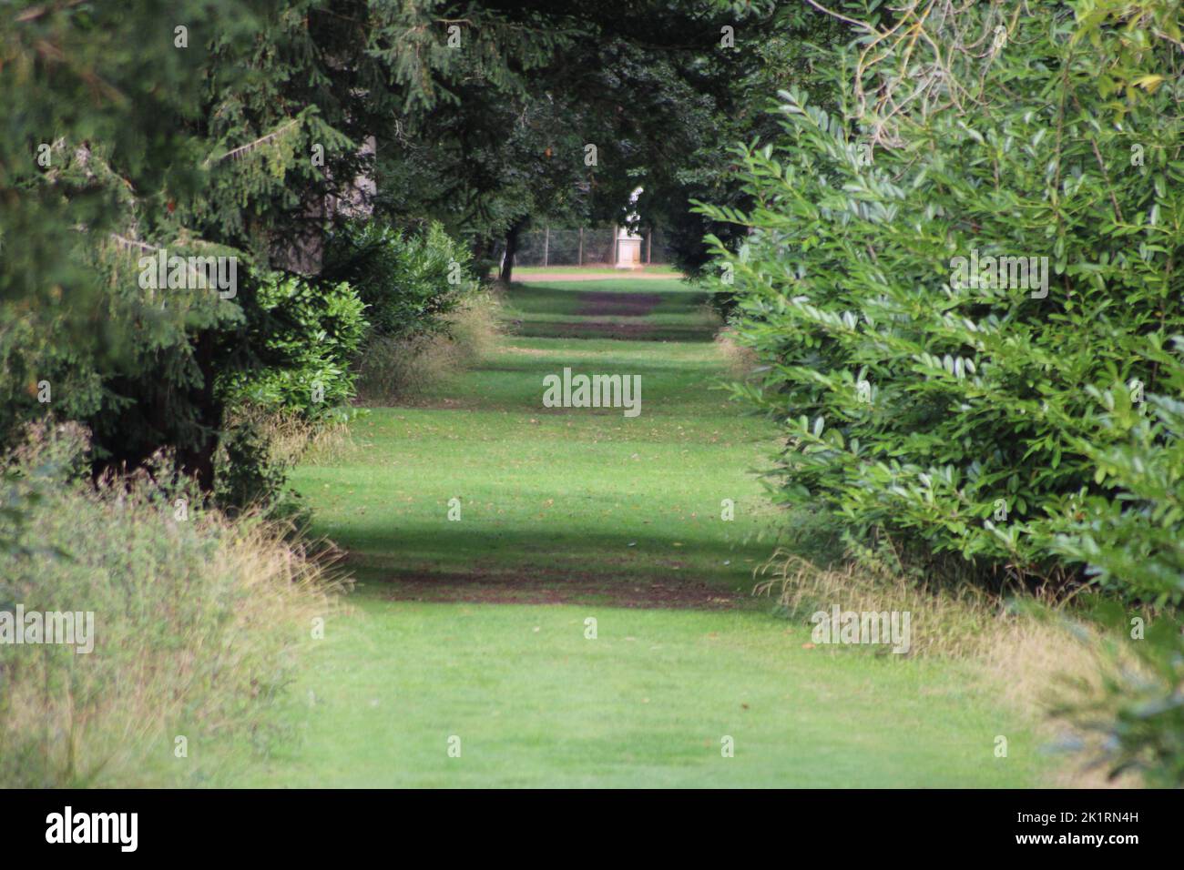 A pathway in a green park with tall trees Stock Photo - Alamy