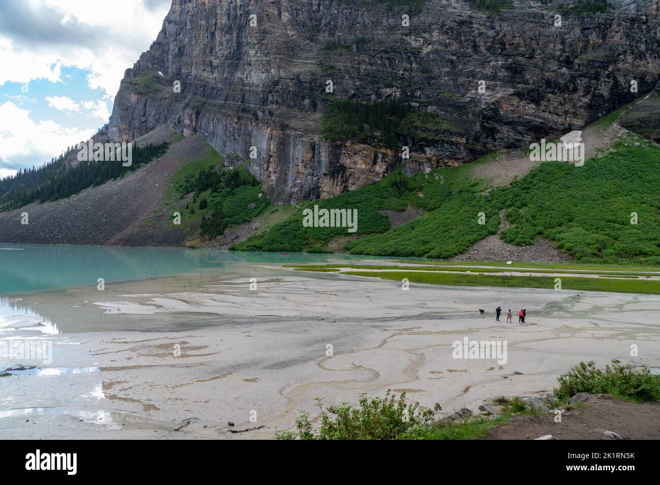 The marshy glacial silt area of Lake Louise, in Banff National Park. A ...