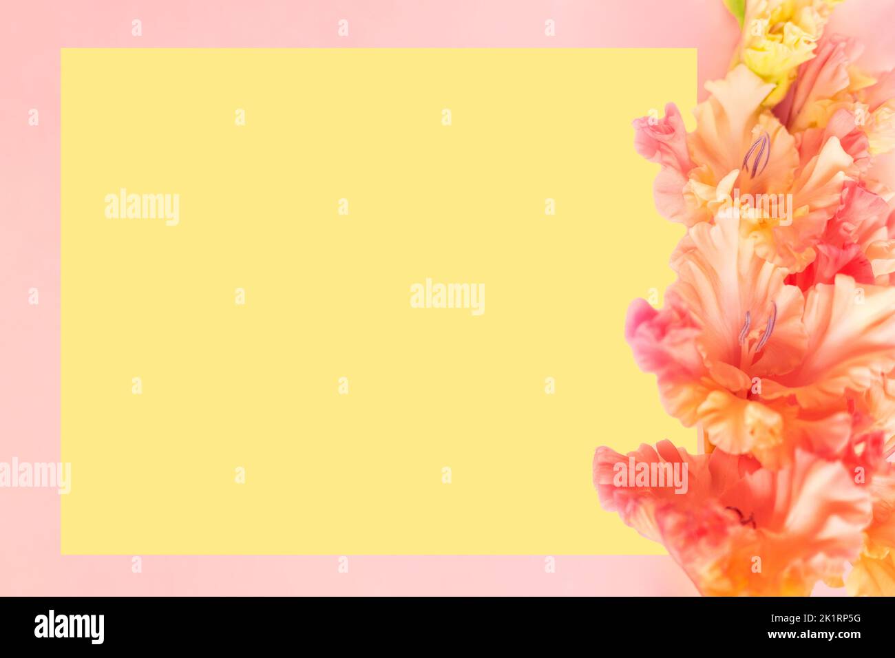 Minimal floral layout natural hi-res stock photography and images - Alamy