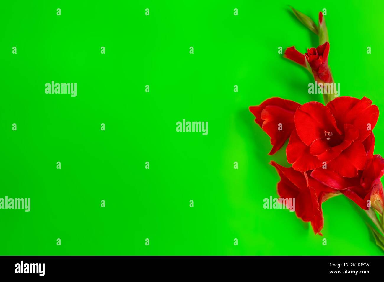 Red green background copy hi-res stock photography and images - Alamy