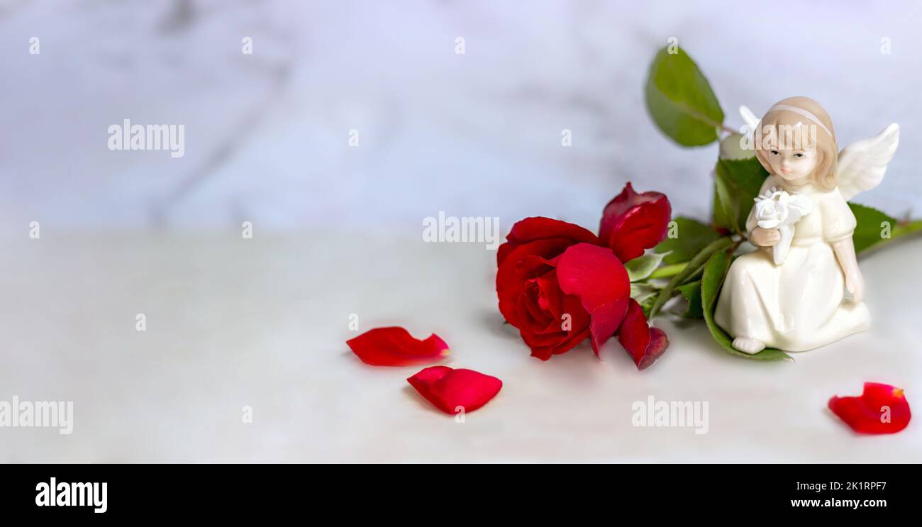 Banner. Cute angel with a red rose on a white marble background. The ...