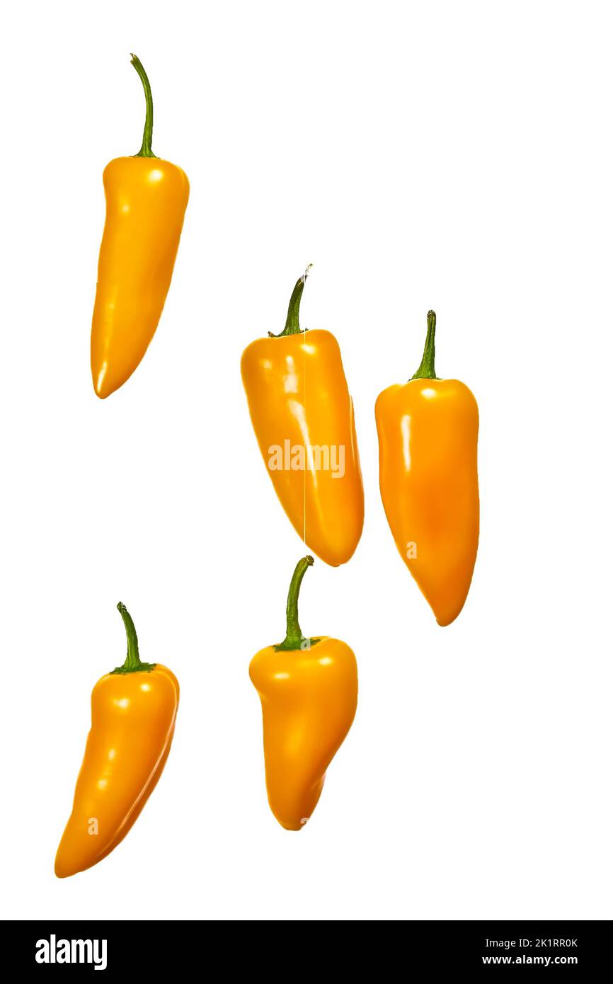 Group of yellow hot jalape o peppers isolated on a white background ...