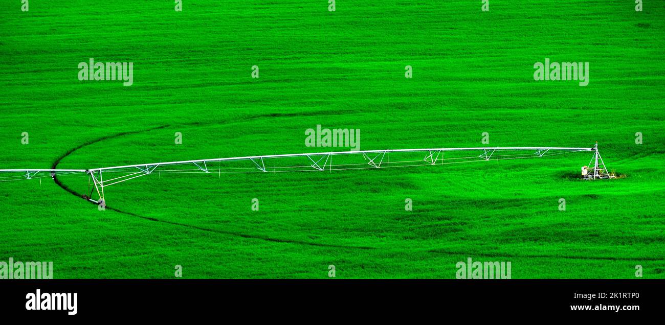 Irrigation pivot or circle watering irrigating green lush farm field ...