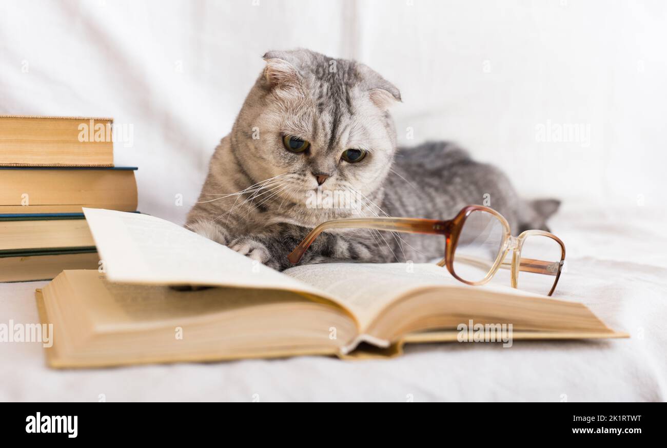 Flipping through book hi-res stock photography and images - Alamy
