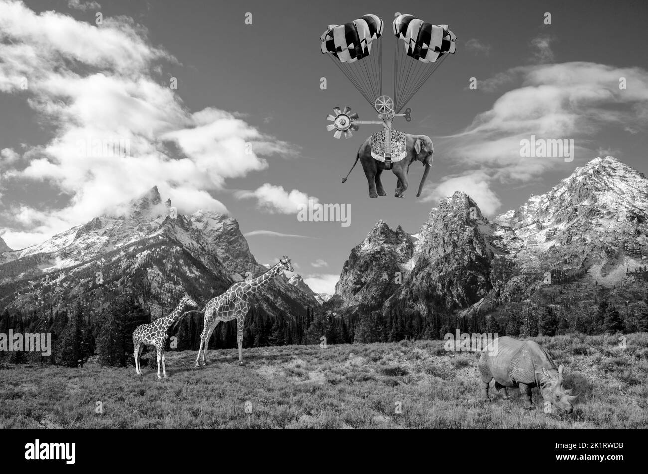 Flight of the Elephant Stock Photo - Alamy