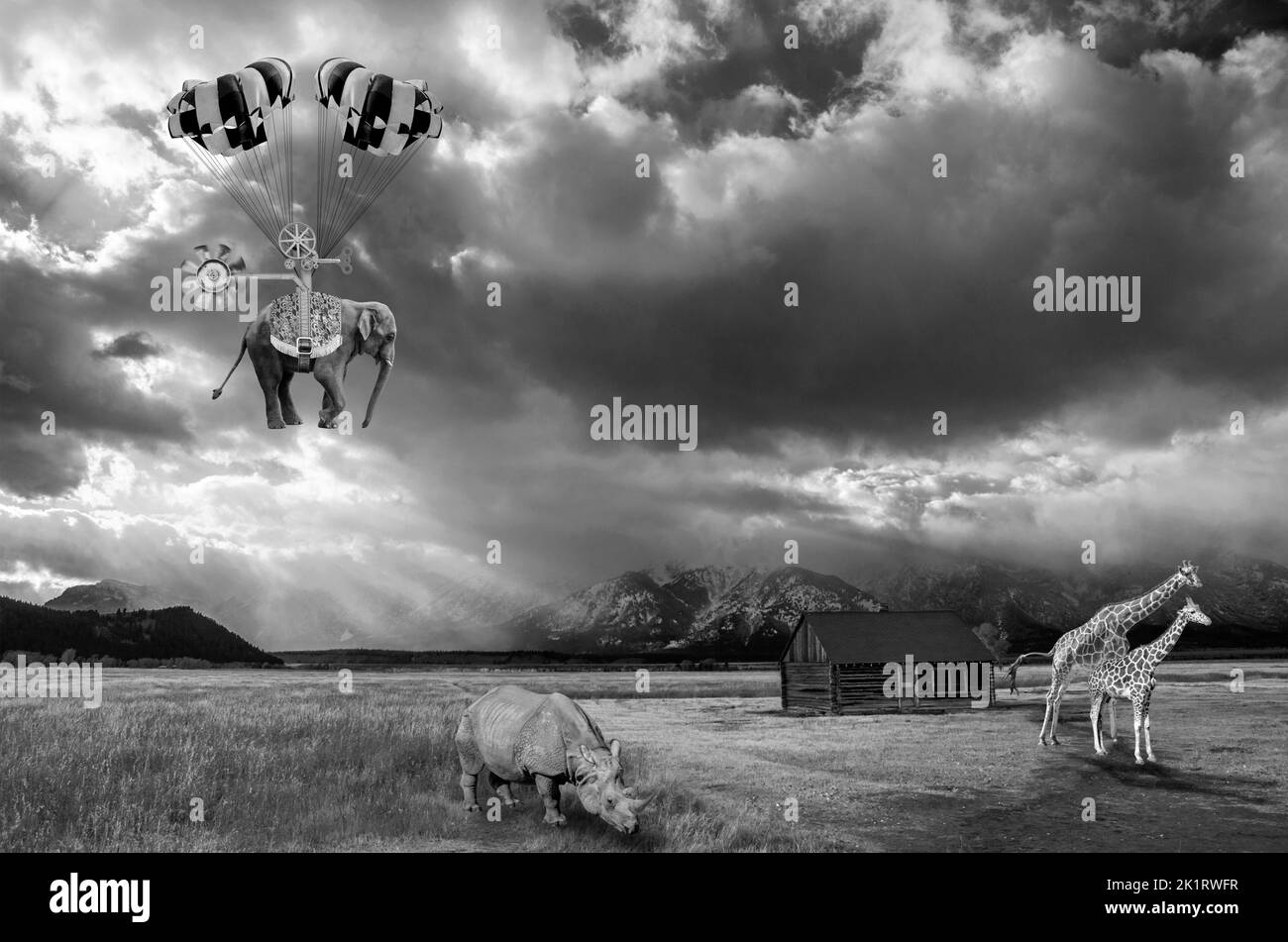 Flight of the Elephant Stock Photo - Alamy