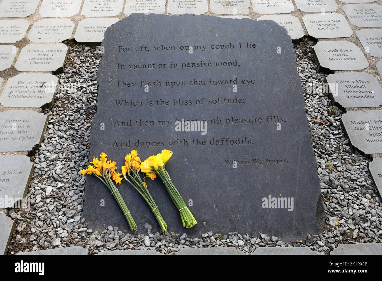 Spring, the Wordsworth Daffodil Garden, Grasmere village, Cumbria, Lake ...