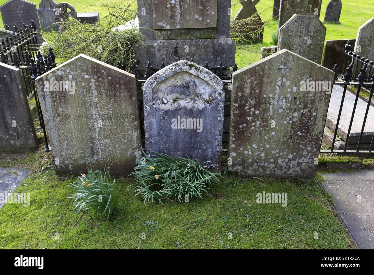 Spring daffodils on the Wordsworth Graves, St Oswalds parish church, St ...