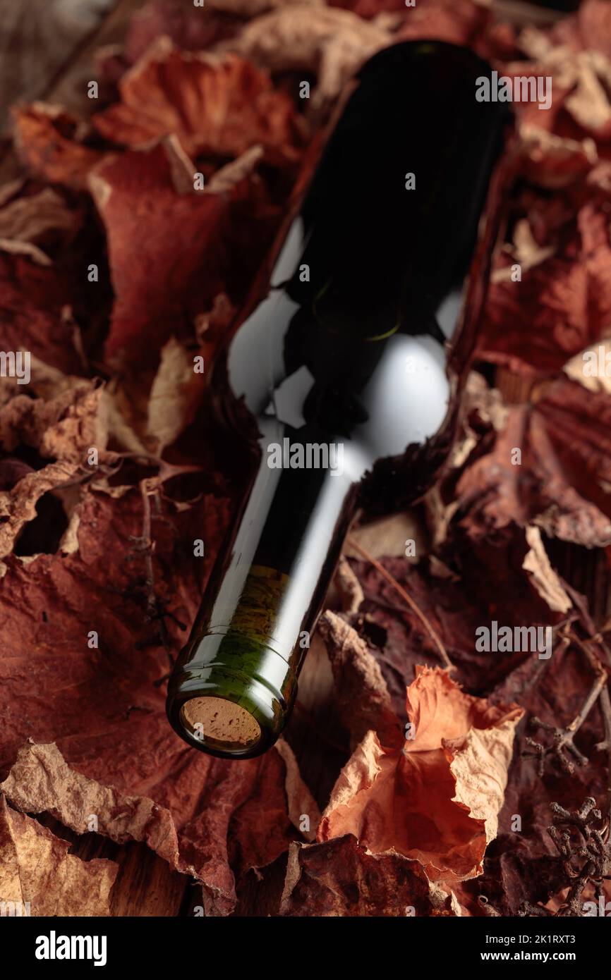 Bottle of red wine on dried-up vine leaves Stock Photo - Alamy