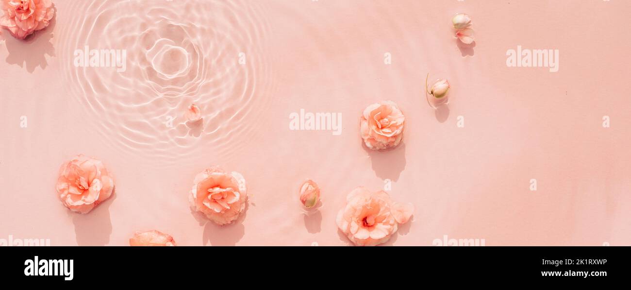 Pink roses, drops and waves on the surface of the water. Water abstract ...