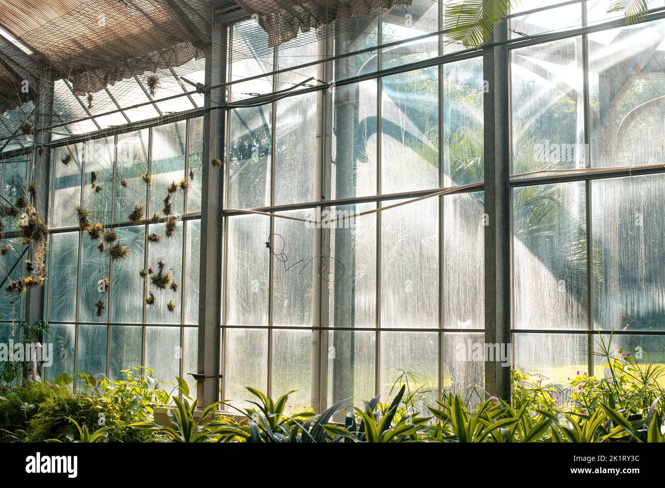 Beautiful greenhouse glass windows hi-res stock photography and images ...