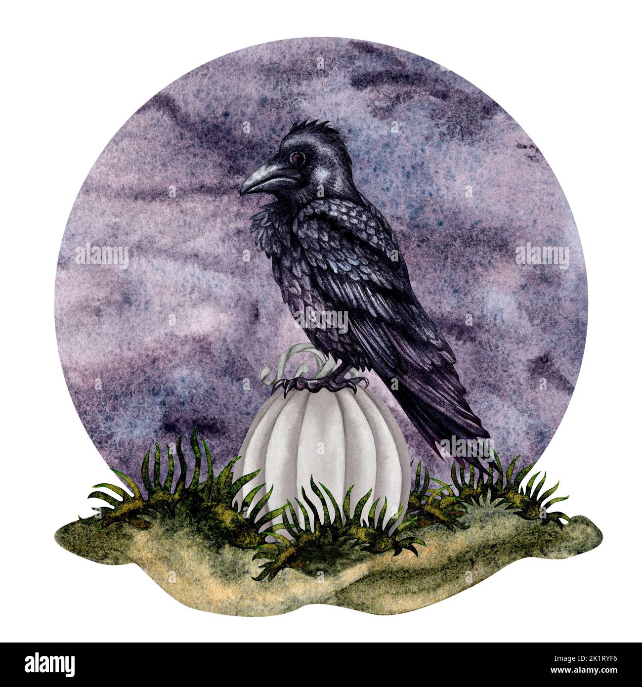Raven on a stone gourd against the purple moon background. Watercolor ...