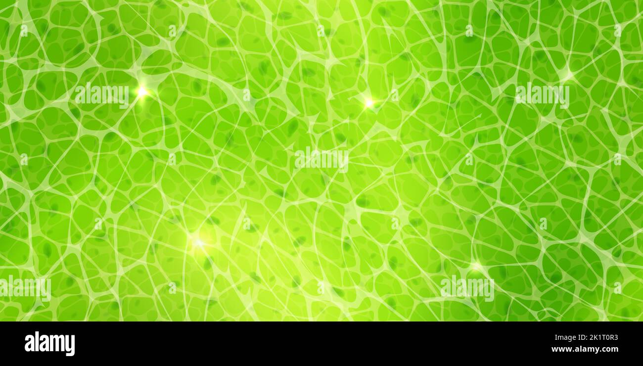 Green plant cells with nuclears texture under a microscope or abstract seamless pattern. Leaf ...