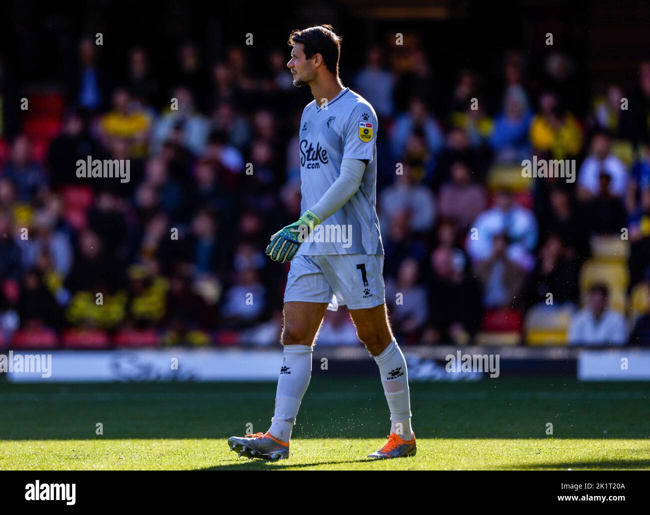 Daniel bachmann hi-res stock photography and images - Alamy