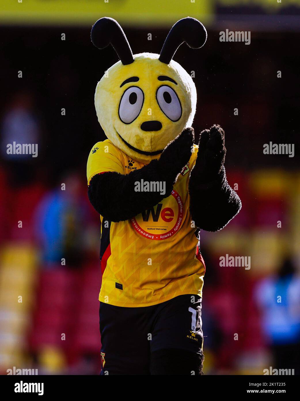 Watford mascot harry the hornet hi-res stock photography and images - Alamy