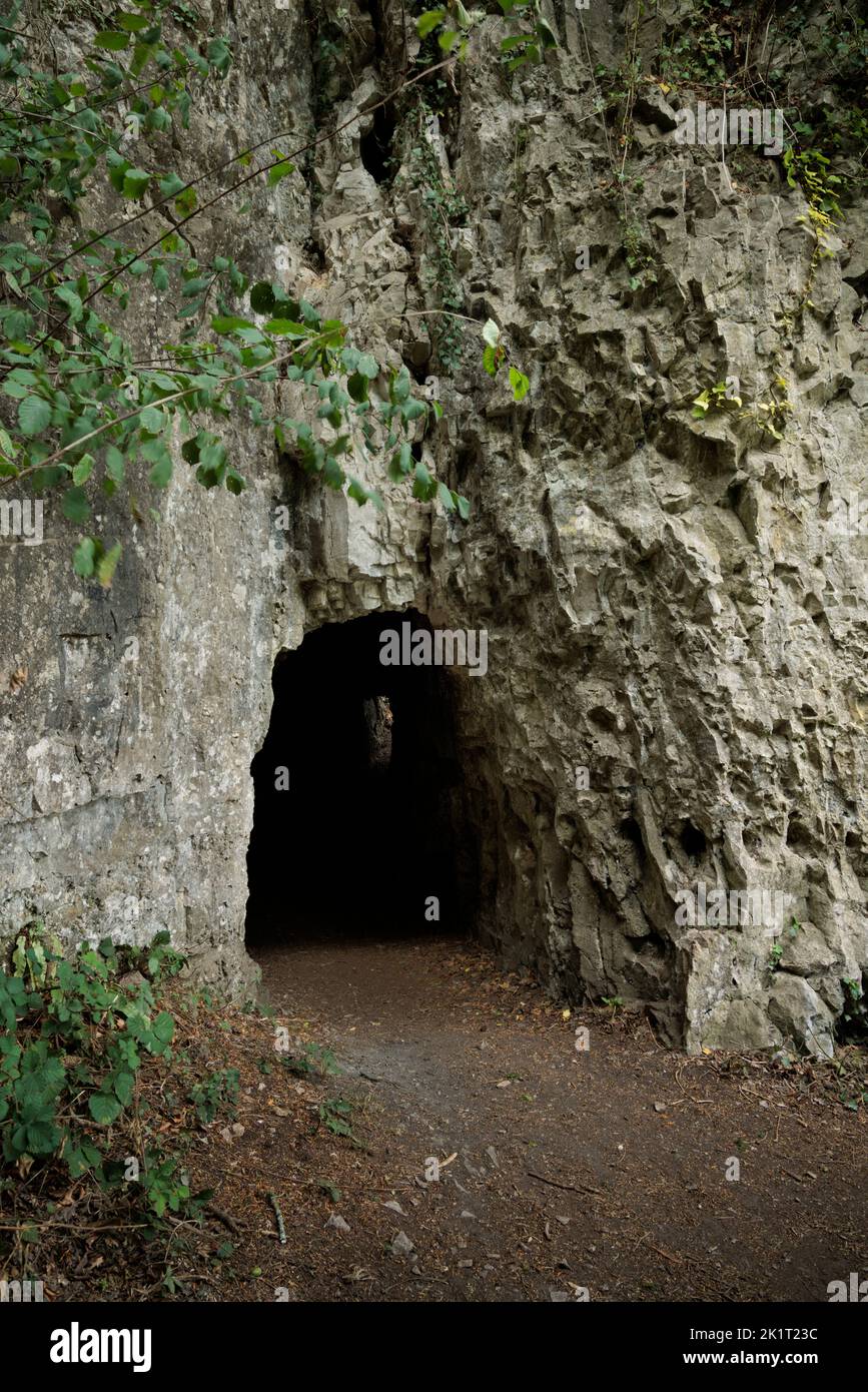 The Giant's Cave in the lower Wye Valley Stock Photo - Alamy