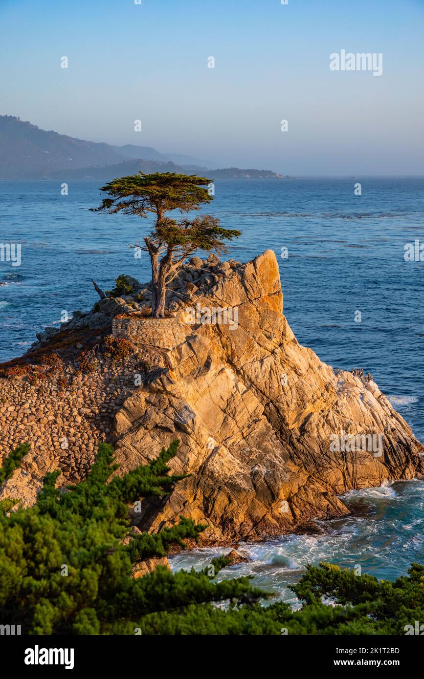 Side cypress hi-res stock photography and images - Alamy