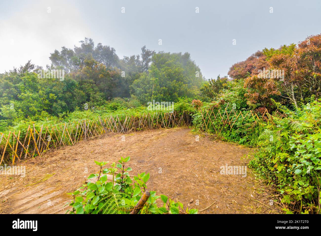 Doi inthanon national park top hi-res stock photography and images - Alamy
