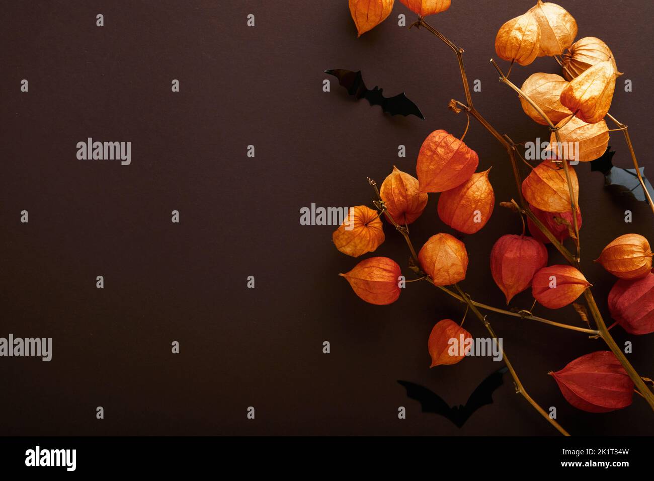 Halloween background. Flock of black bats and branch of dry orange ...