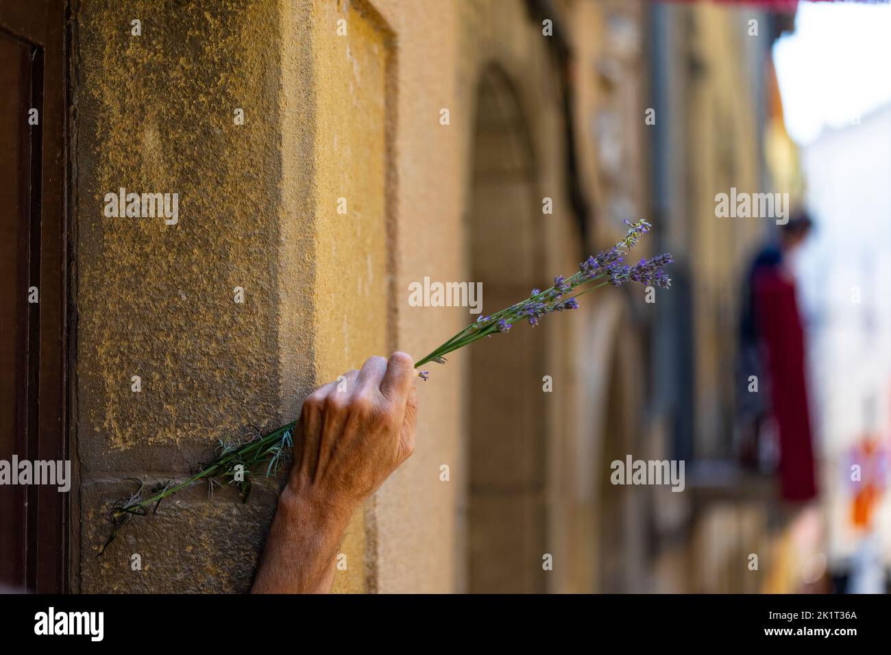 Festa major de sants barcelona hi-res stock photography and images - Alamy