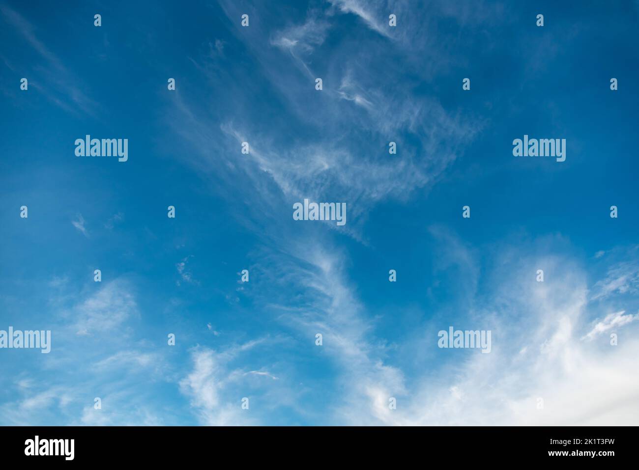 Natural background blue sky. Close up, selective focus. Useful for ...