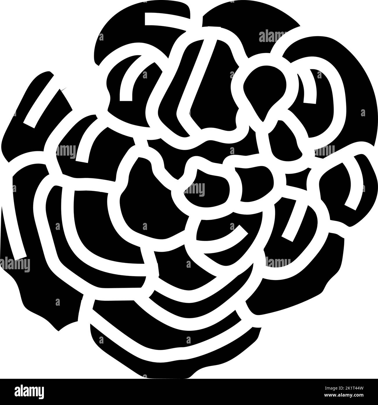 turkey tail mushroom glyph icon vector illustration Stock Vector Image ...