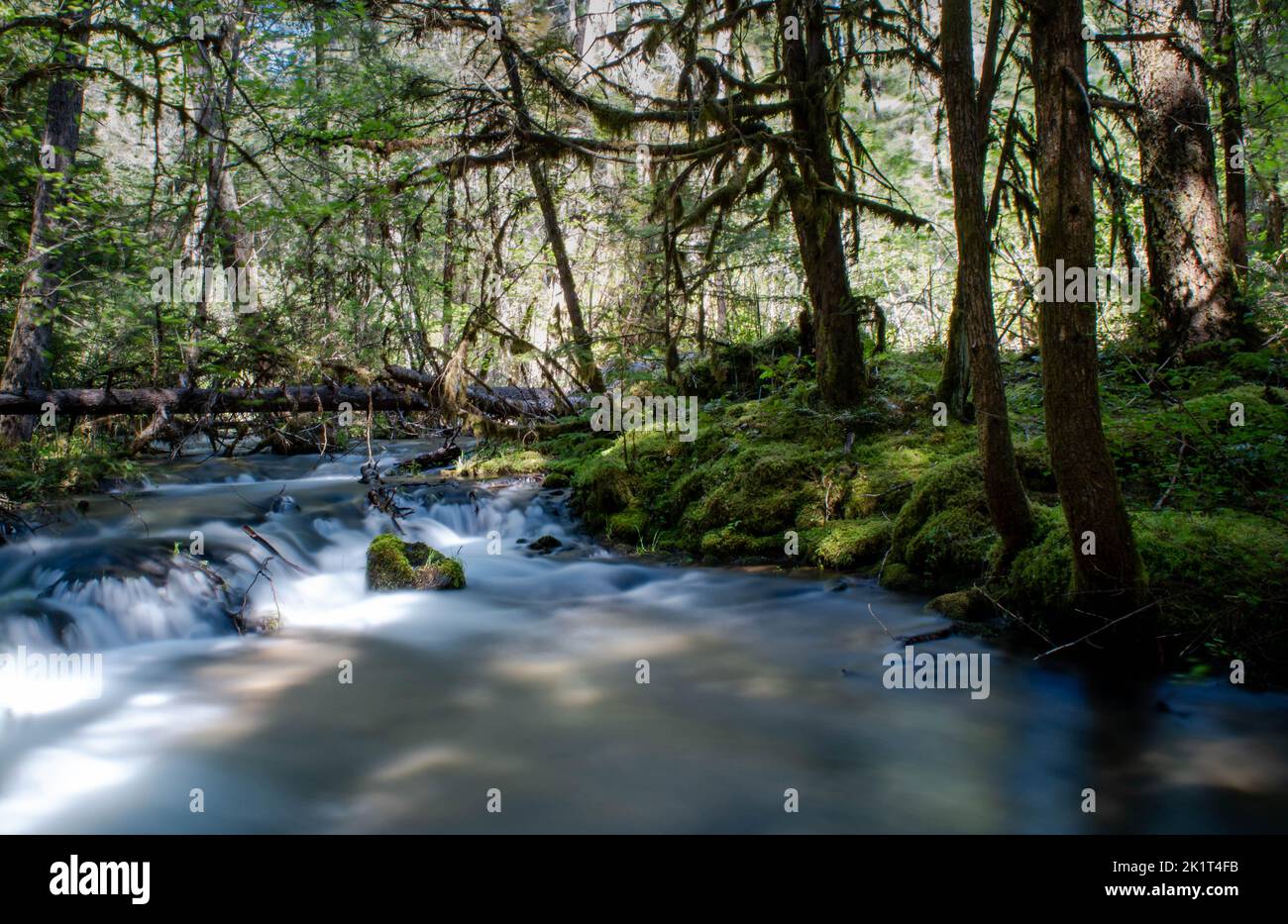 Long exposure of a river flowing down a small waterfall in a forest ...