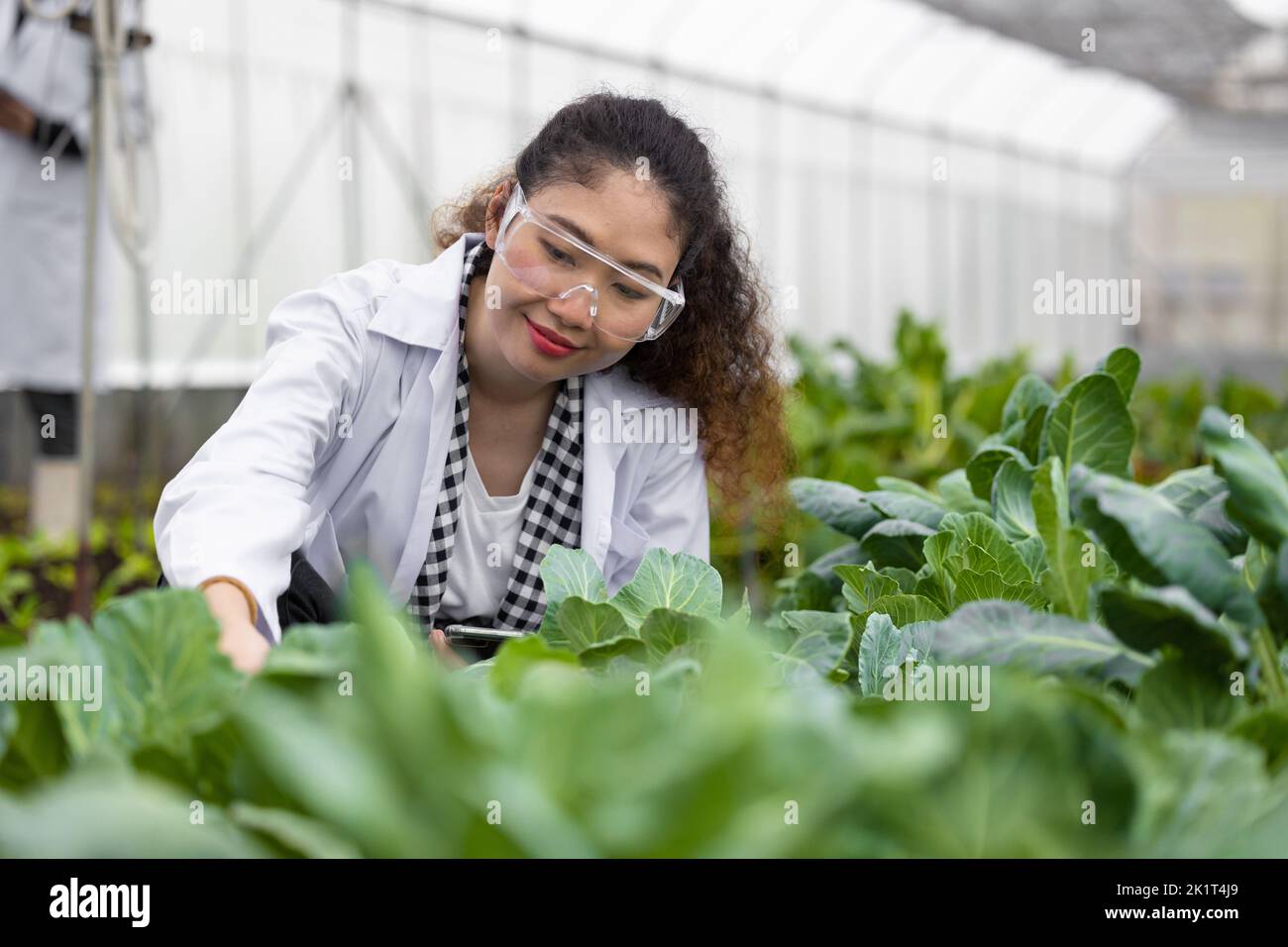 Scientist woman researcher staff worker collecting study plant ...