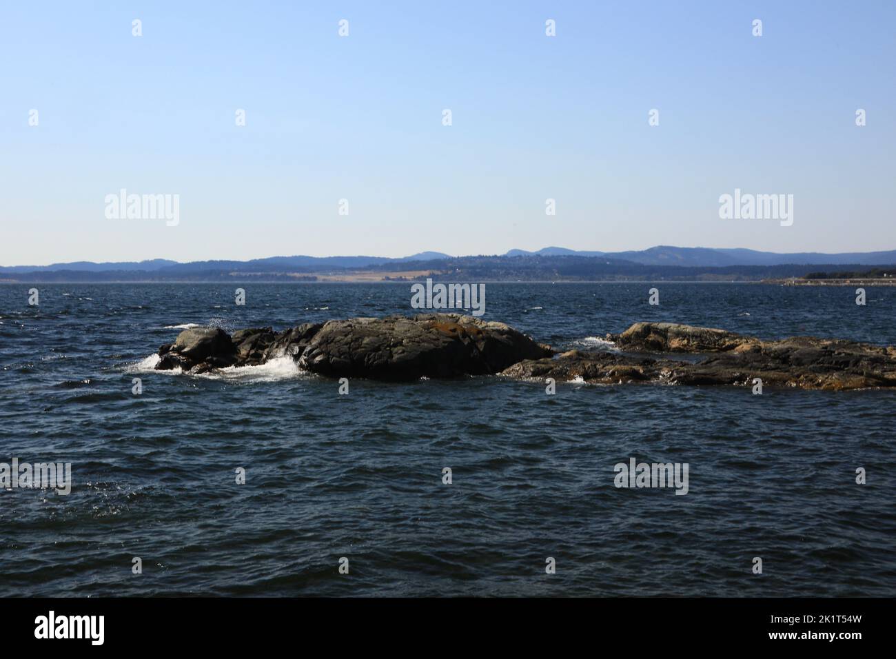 Coastal feature in the Pacific Northwest Stock Photo - Alamy