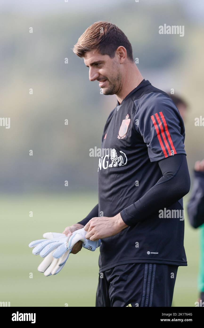 Thibaut courtois belgium 2022 hi-res stock photography and images - Alamy