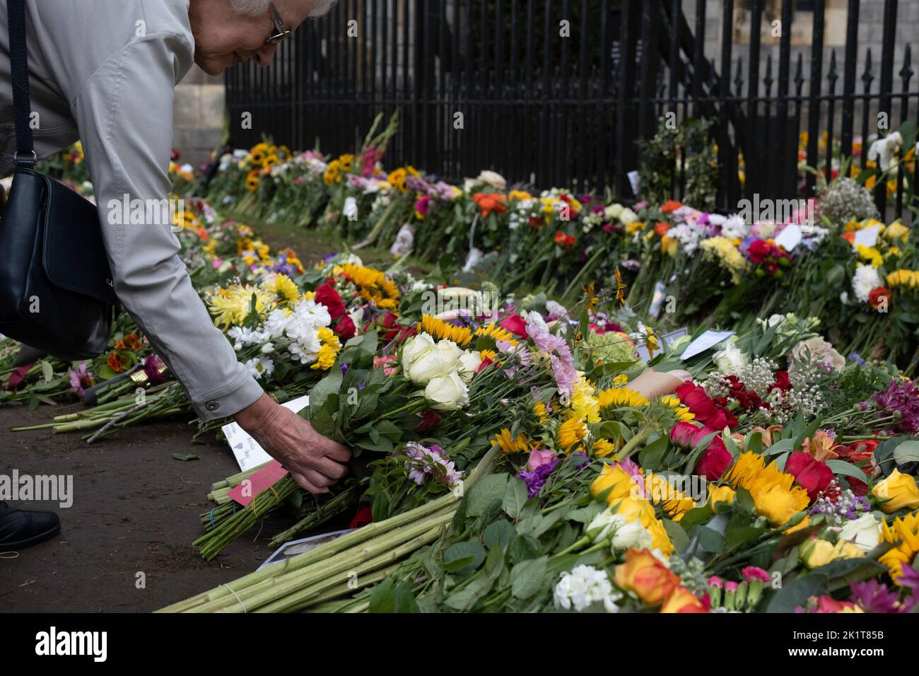 A woman's hand lays flowers at the gates of Windsor Castle in tribute ...