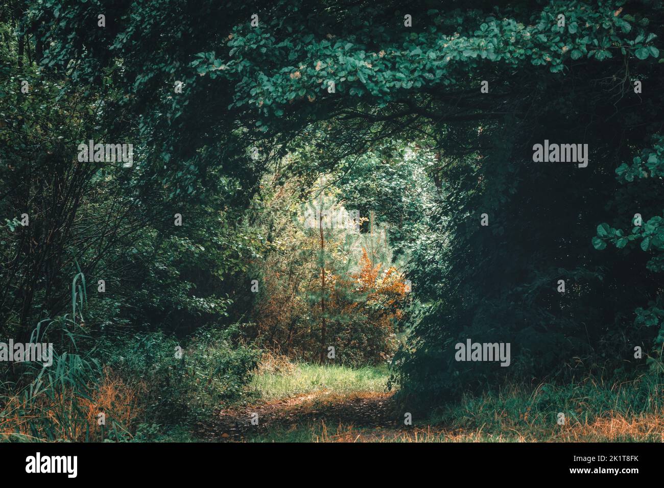 A natural gate to the land of light Stock Photo - Alamy