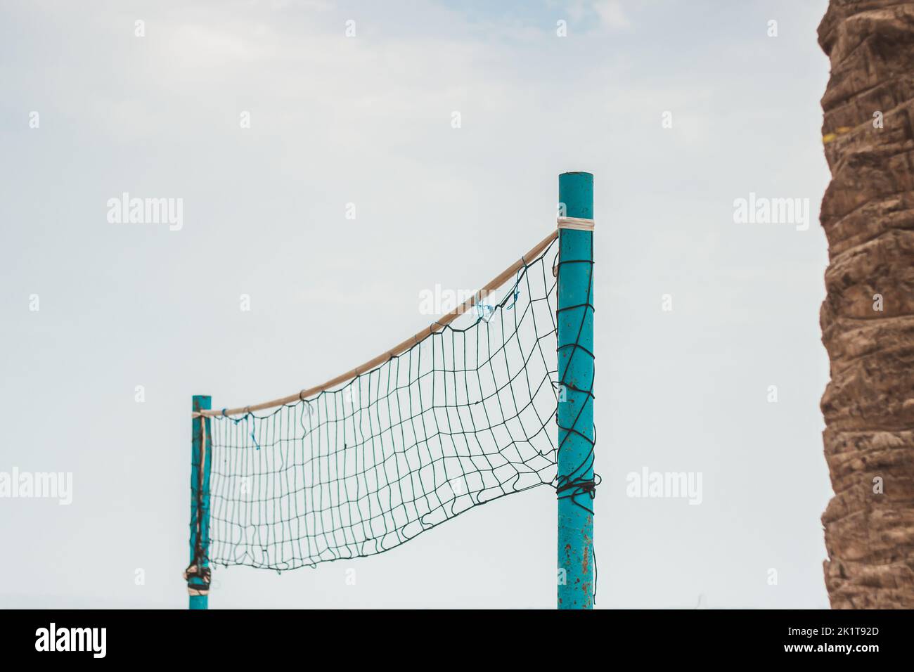 A volleyball net with blue poles next to brown palm ttree under light ...