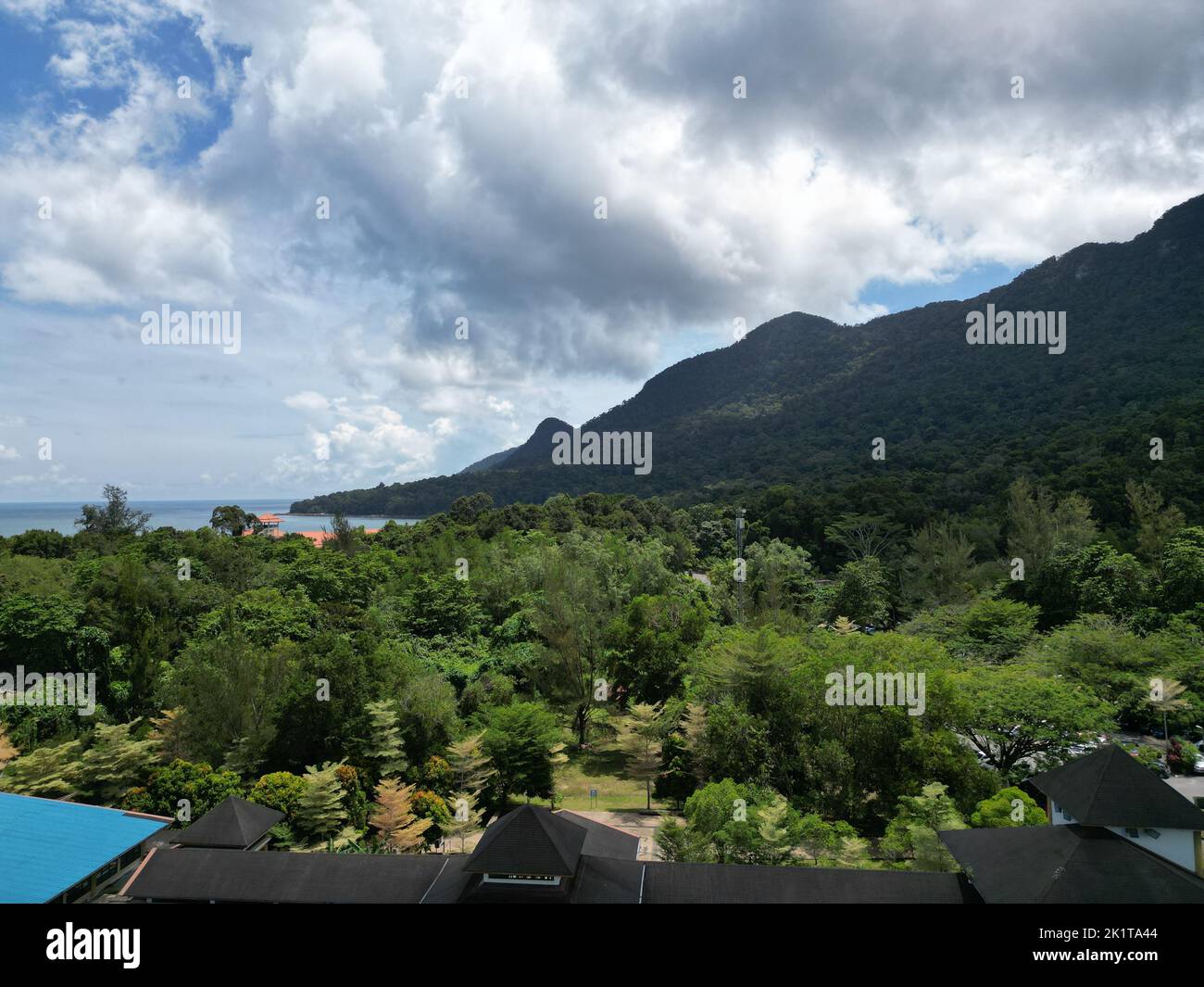 An aerial view of the ocean surrounded by beautiful greenery and ...