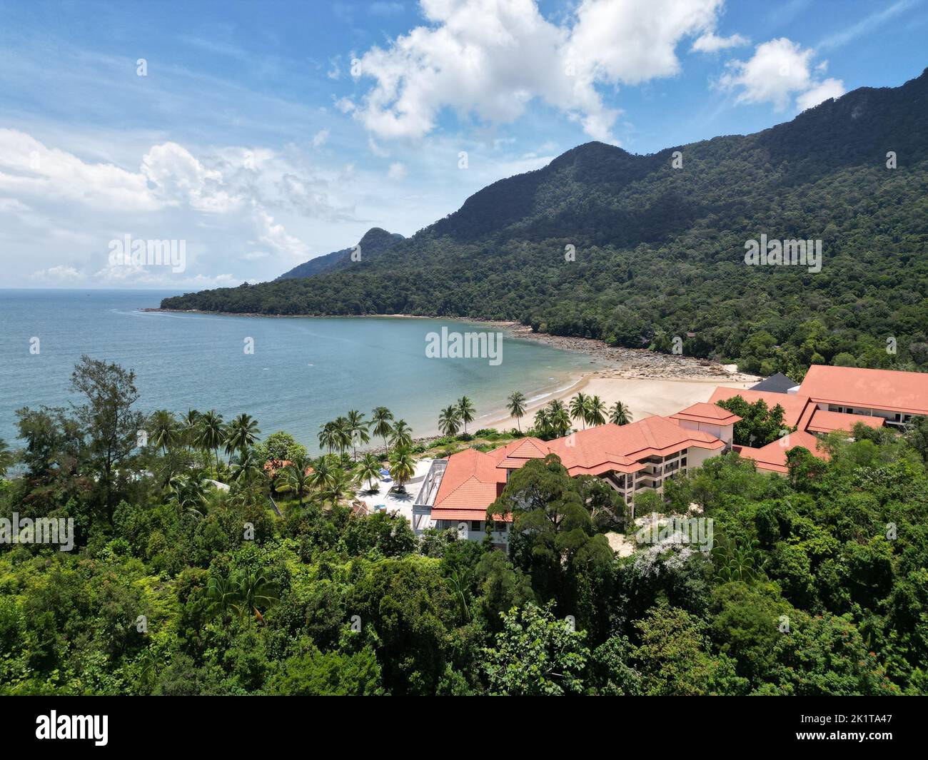 An aerial view of the ocean surrounded by beautiful greenery and ...