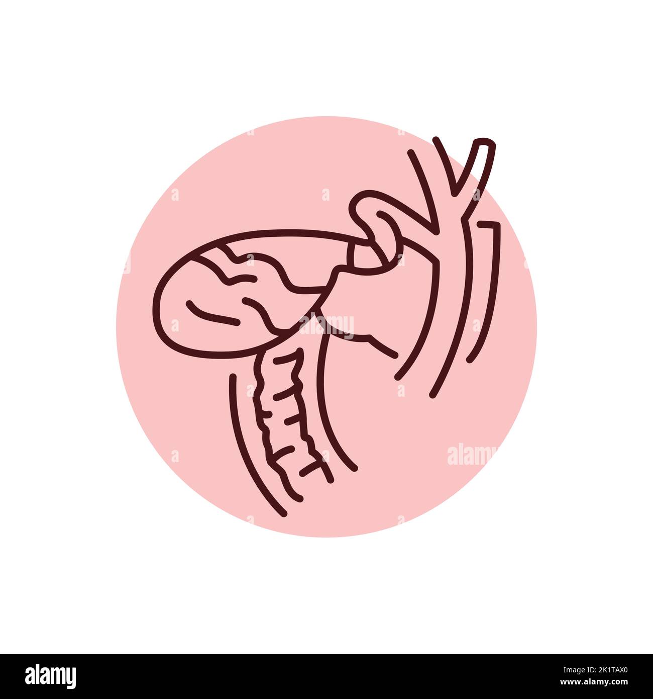 Bile in bladder color line icon. Human diseases. Pictogram for web page ...