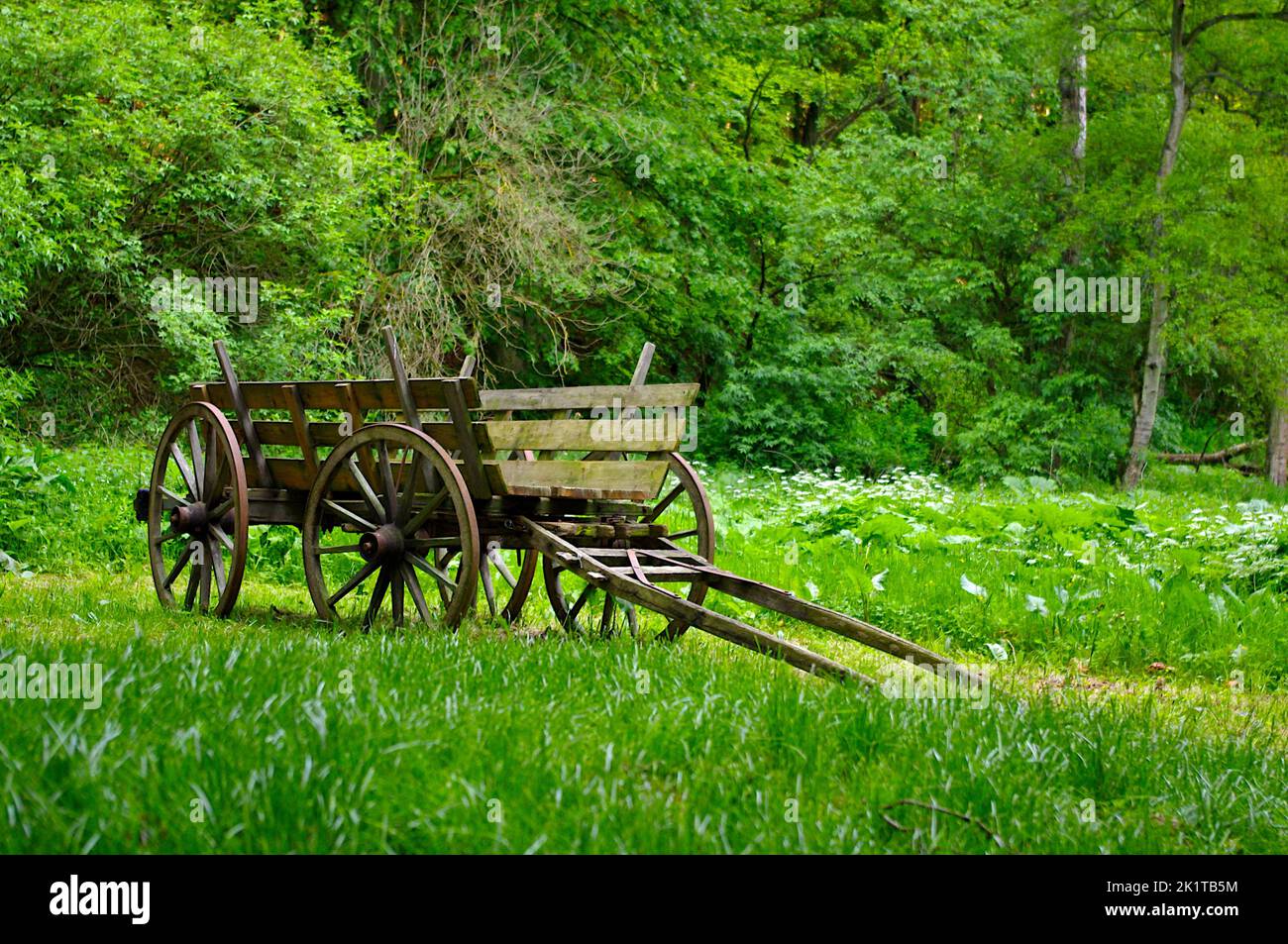 An old wooden wagon standing in an open field with trees and vegetation ...