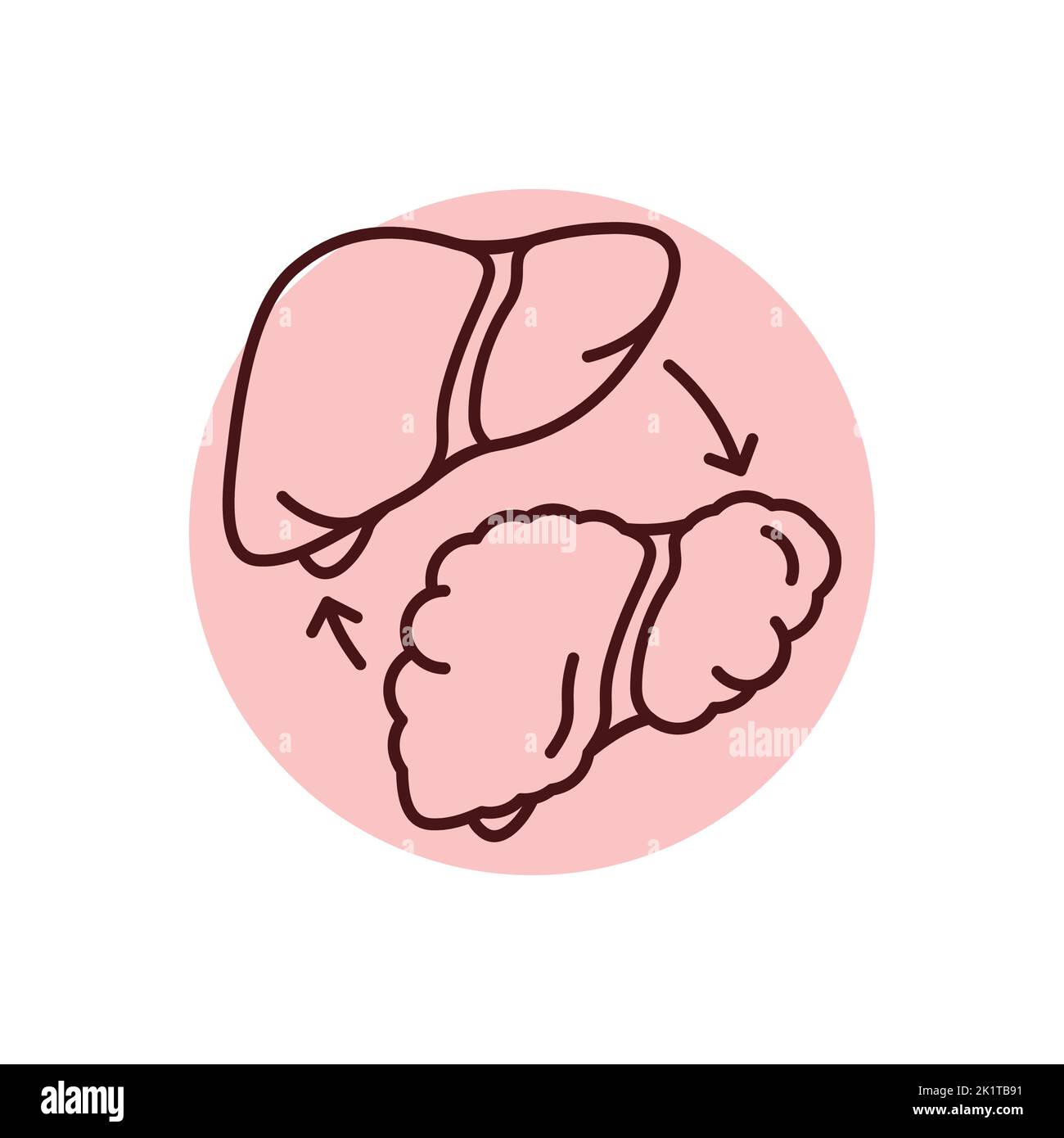 Liver transplant color line icon. Human diseases. Pictogram for web ...