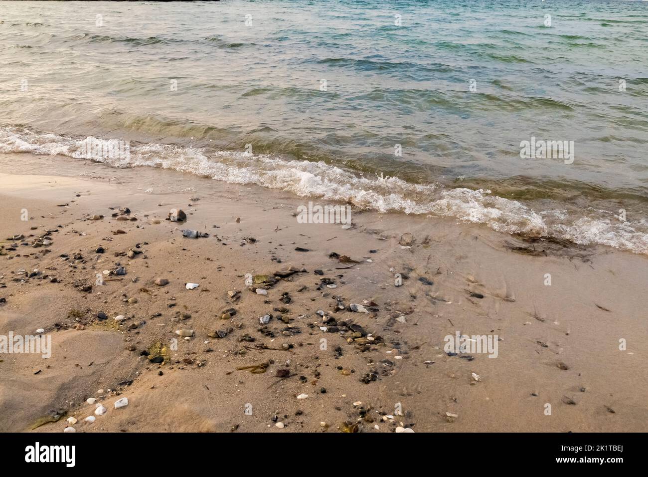 A high angle shot of a sandy seashore with shells near the Baltic Sea ...