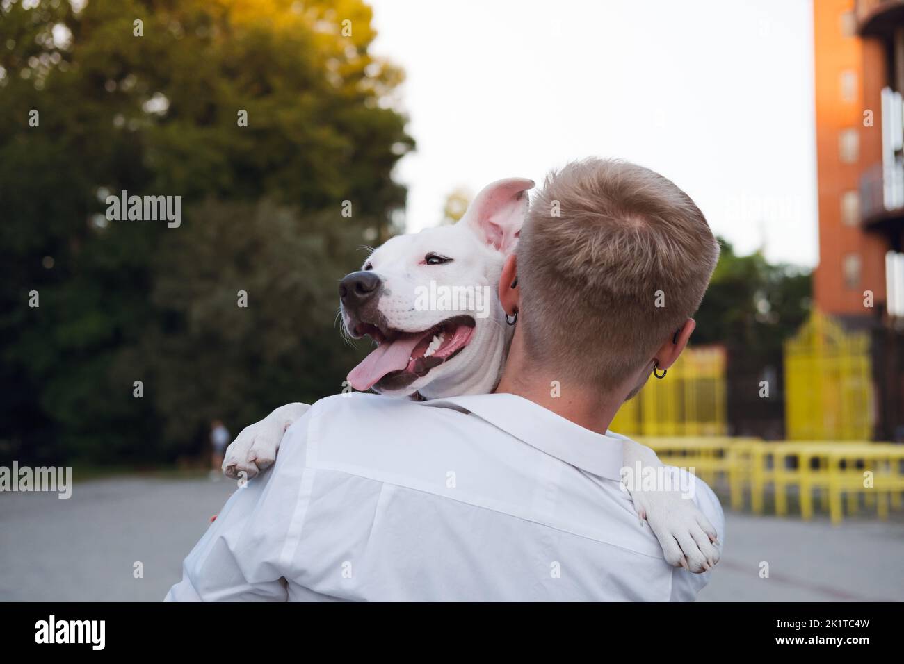 Dog owner hugs his young dog outdoors. Man interacting with a white ...