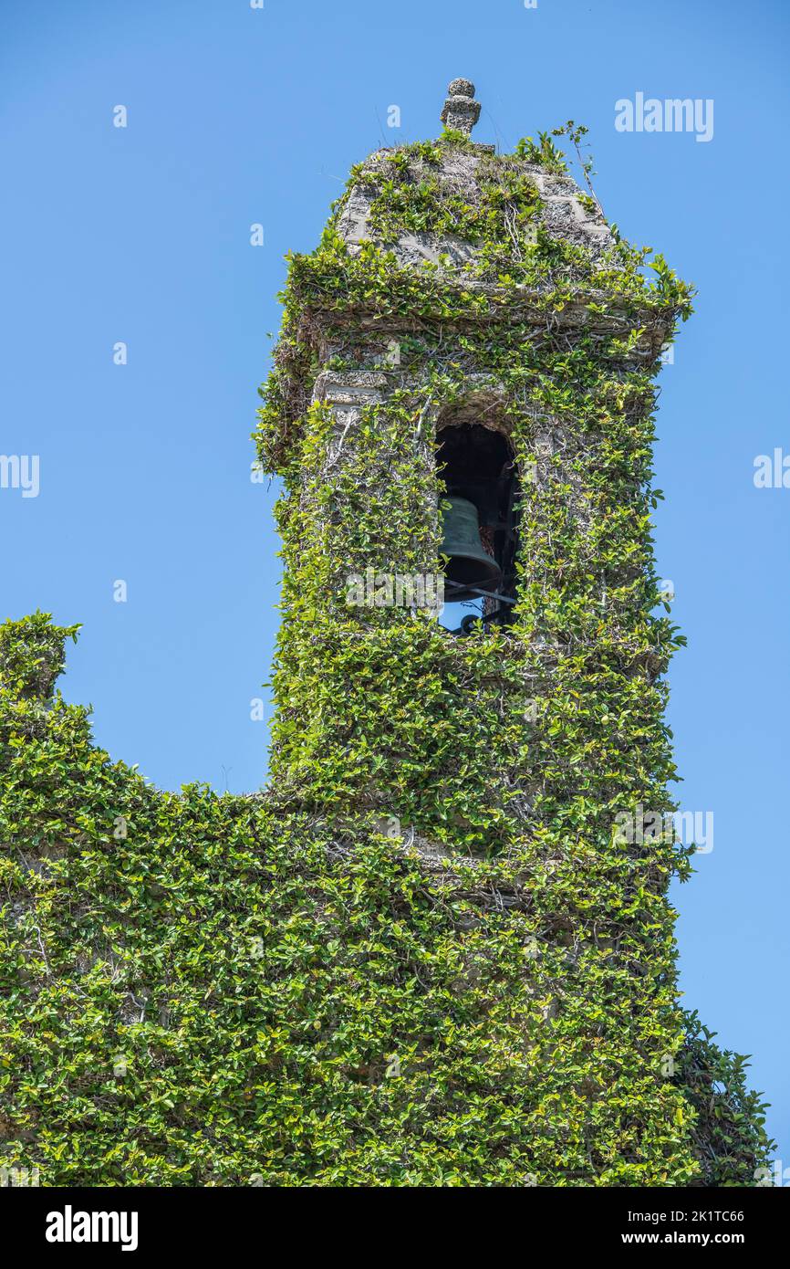 Ivy tower hi-res stock photography and images - Alamy