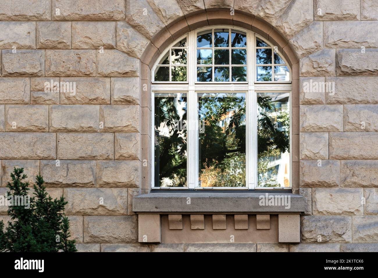 Arched window with a white frame and a reflection of trees against a ...