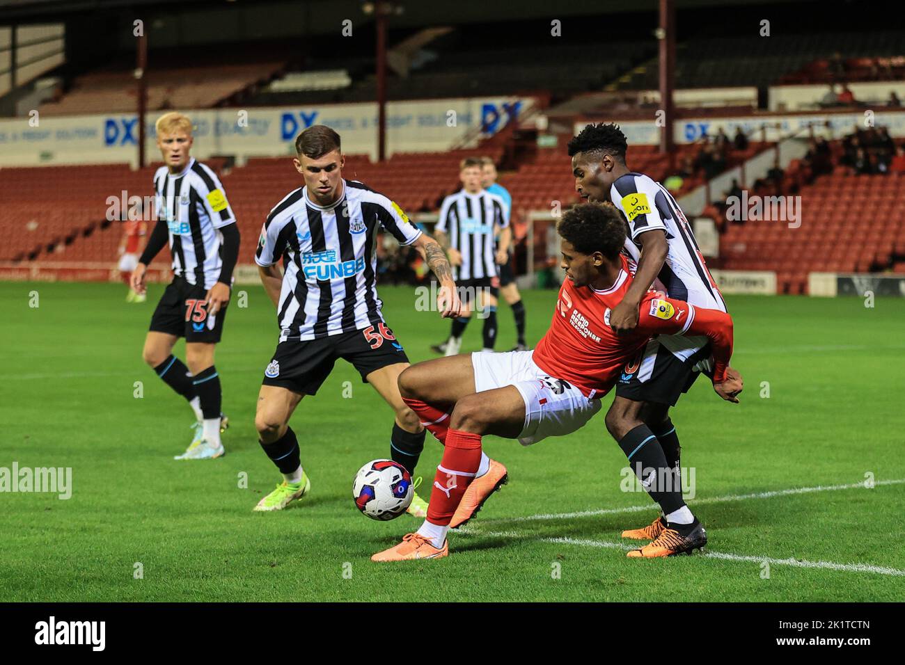 Matty bondswell hi-res stock photography and images - Alamy