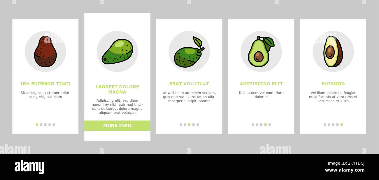 avocado food green half onboarding icons set vector Stock Vector Image ...