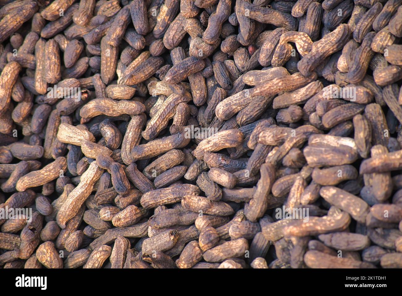 Organic shelled peanut texture background from mexico Stock Photo - Alamy