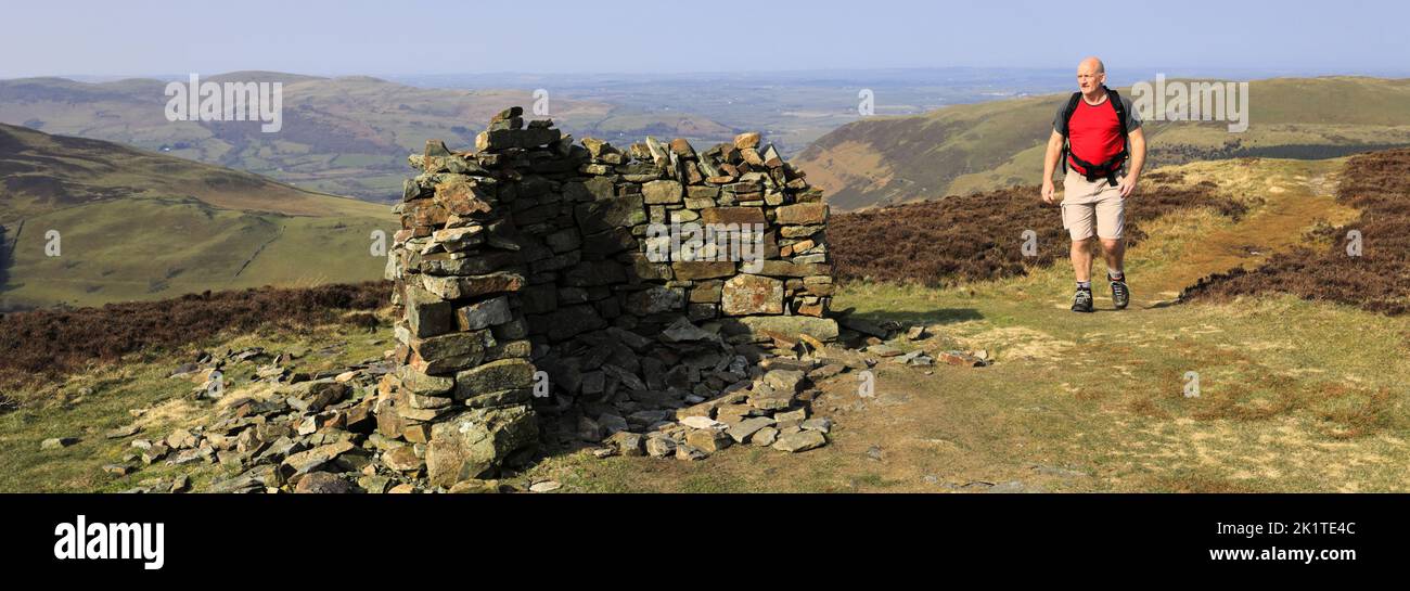 Walker at the summit of Whinlatter fell, Lake District National Park ...