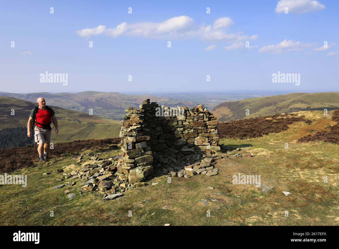Walker at the summit of Whinlatter fell, Lake District National Park ...