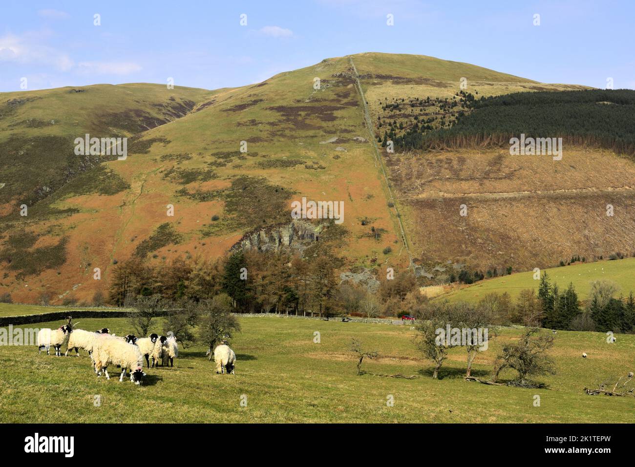 Whinlatter range hi-res stock photography and images - Alamy
