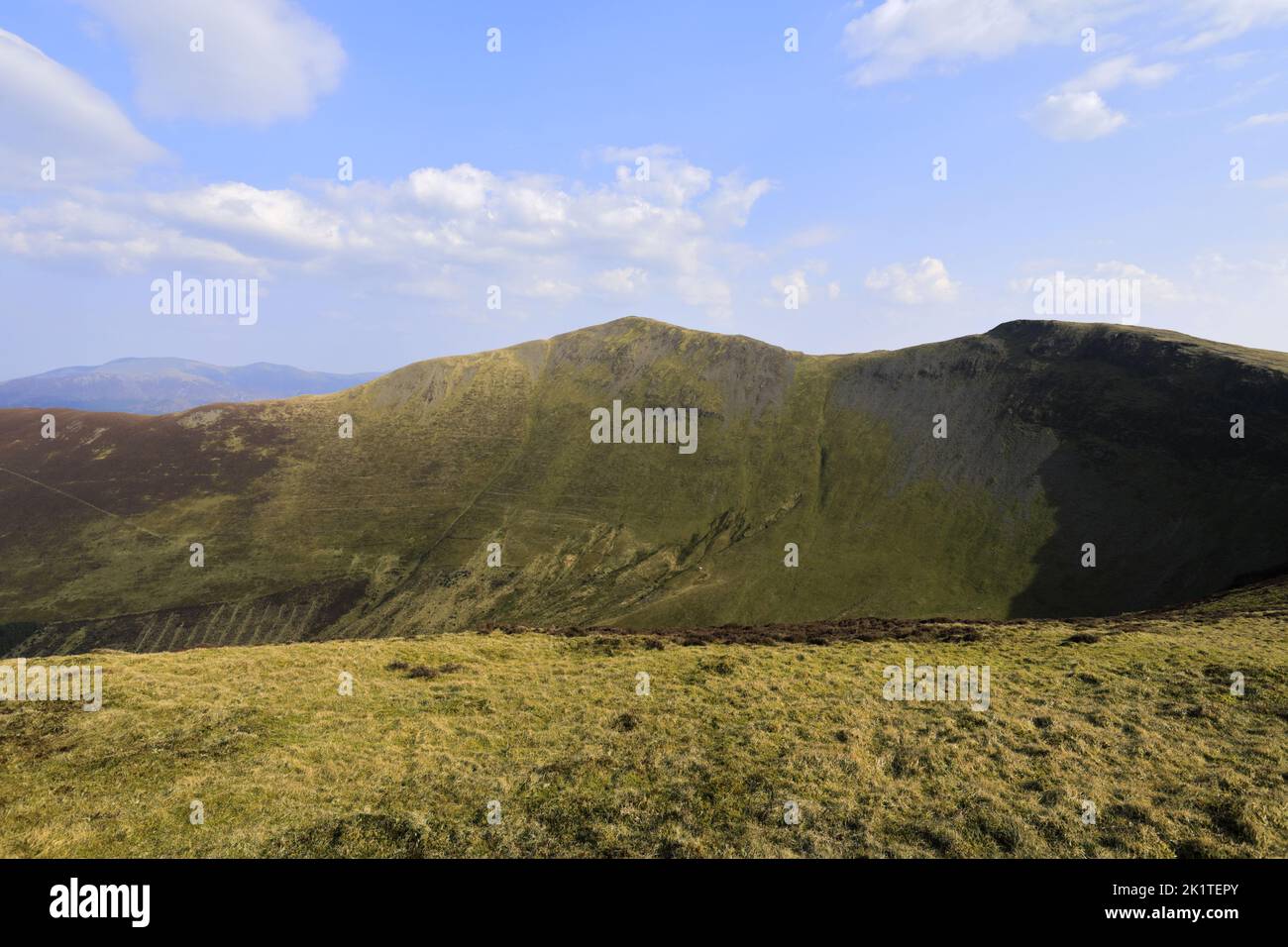View to Grisedale Pike fell, North Western Fells; Lake District ...