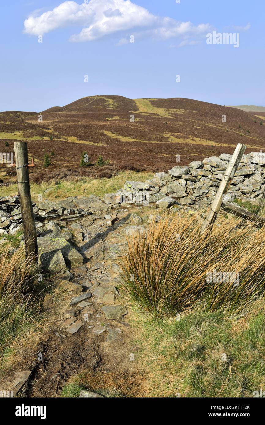 View over the summit of Whinlatter fell, Lake District National Park ...
